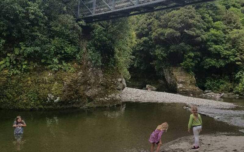 Kaitoke Regional Park | Freedom/Basic Camp | New Zealand